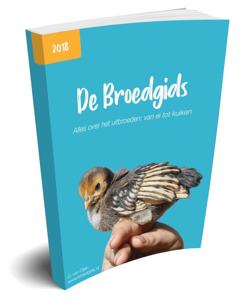 De broedtijd van een kip – de Broedgids