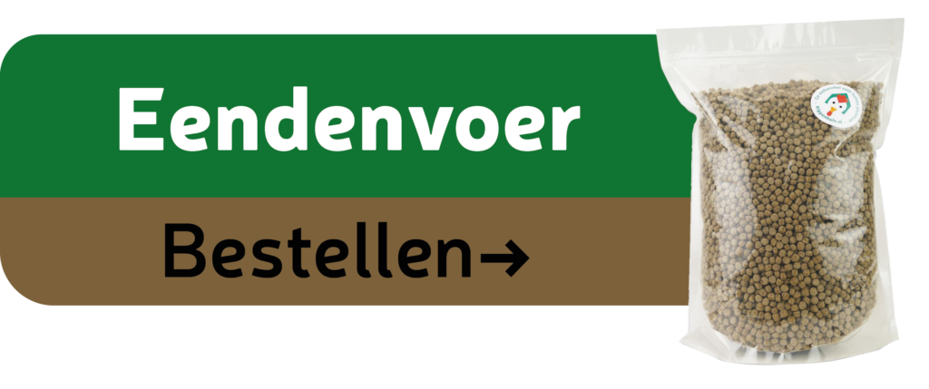 Alles over de Hollandse kwaker en zijn luide gekwaak - Eend.net