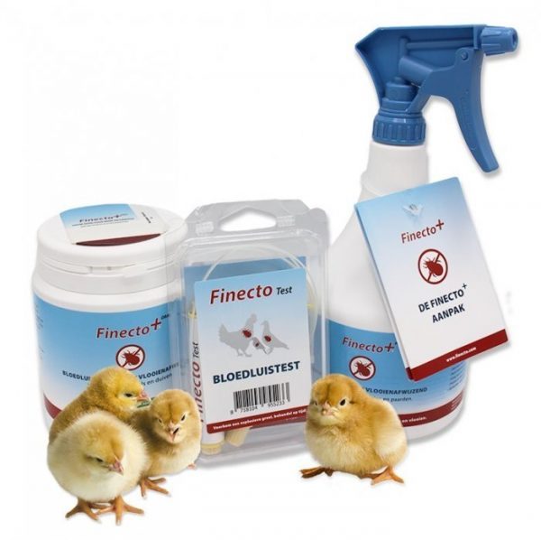 Bloedluis bestrijding - Kippenziekten.nl